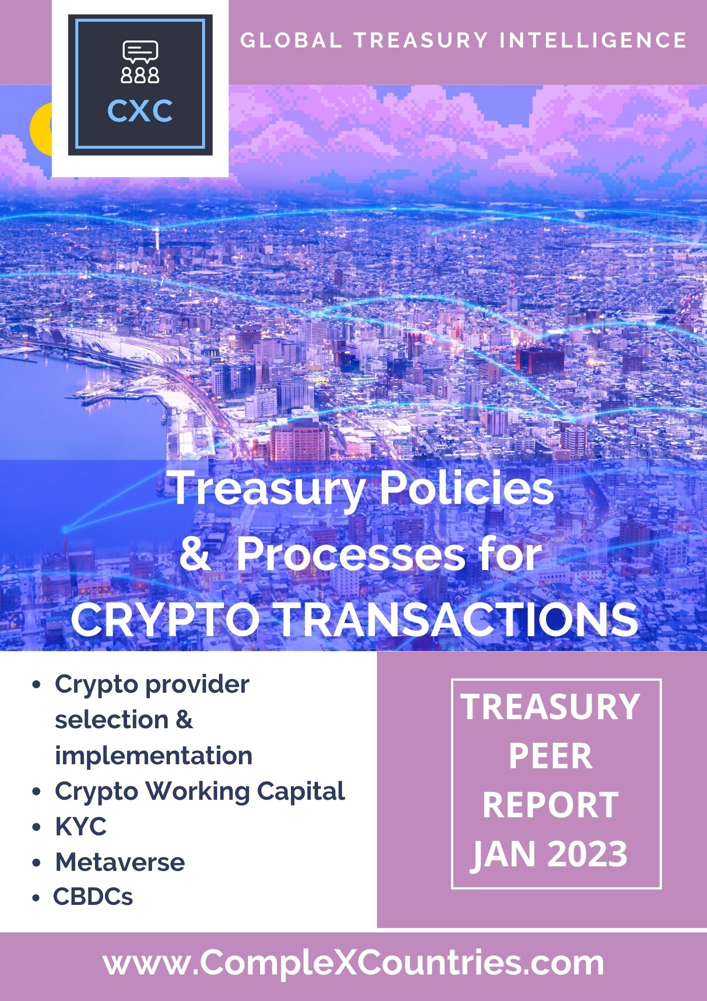 Treasury Policies & Processes for Crypto Transactions | CompleXCountries